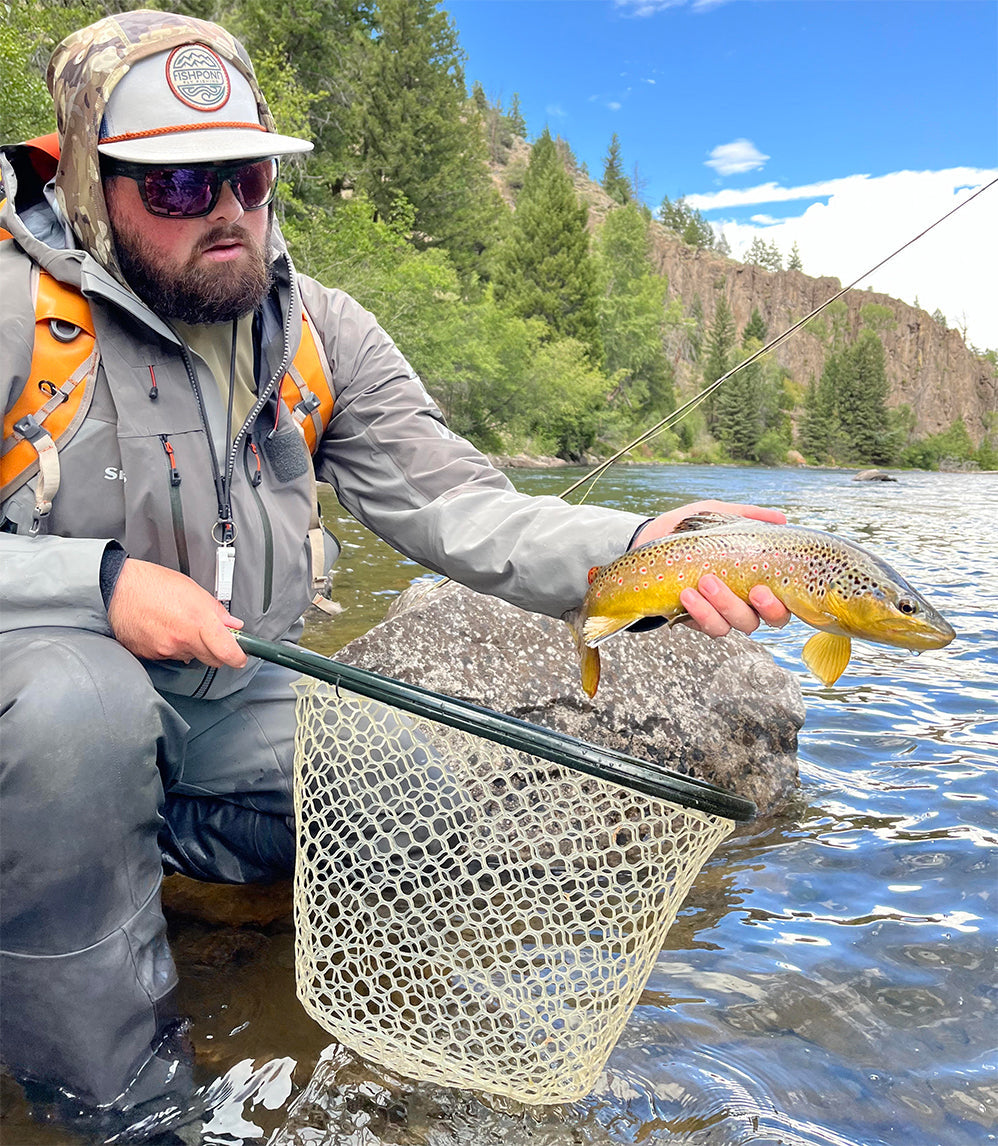 3 Flies for the Week: October 15 - Egg, Mayfly Baetis, Adams — Golden ...