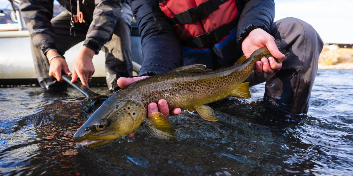 4 methods for adapting to cold-weather fly fishing — Golden Fly Shop