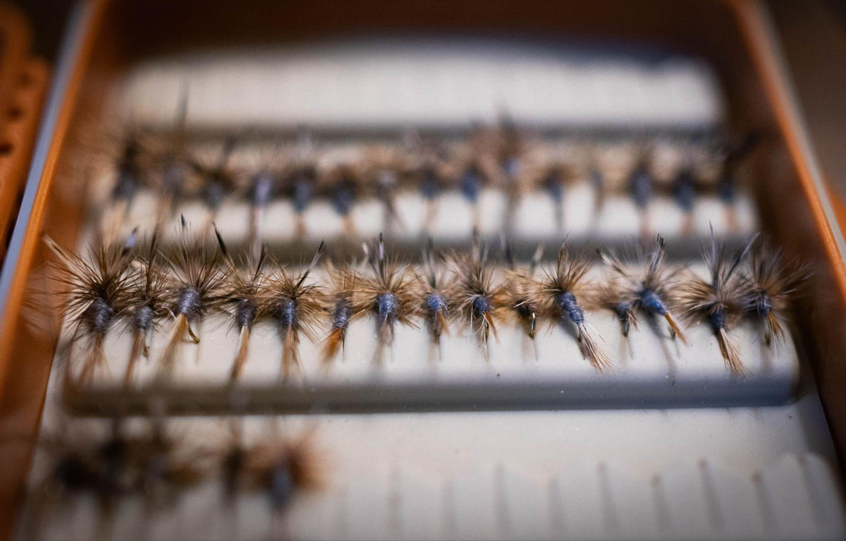 Famous Fly History 2: Adams — Golden Fly Shop