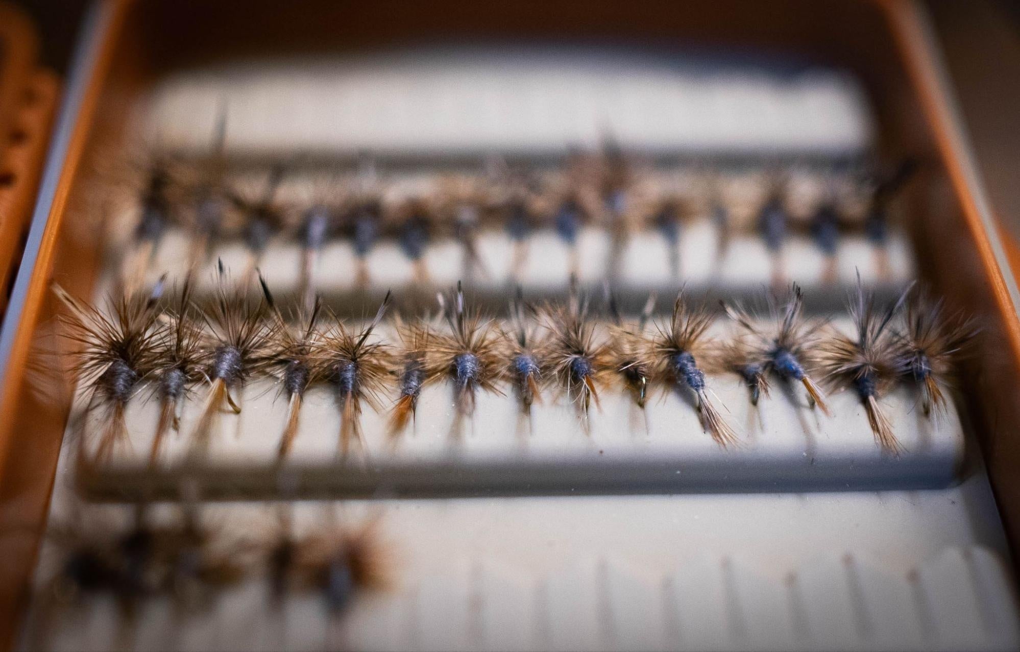 Famous Fly History 2: Adams — Golden Fly Shop
