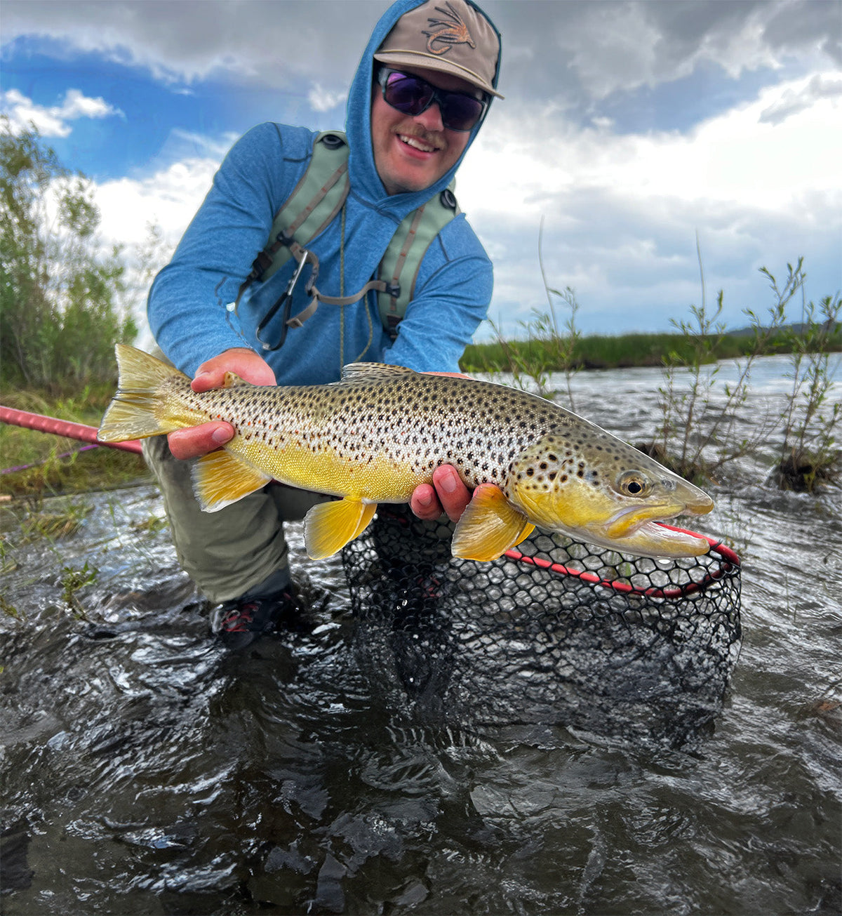 3 Flies for the Week: July 23 Cheech Leech, Dungeon, Kreelex — Golden ...