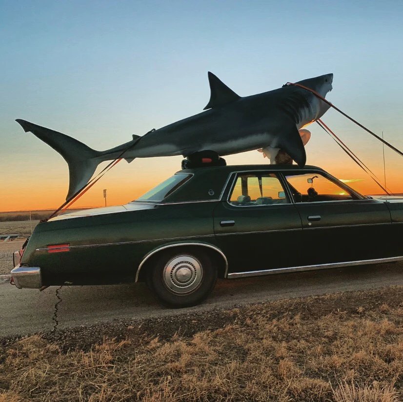 The shop shark gets a new paint-job & Guided float trips! — Golden Fly Shop