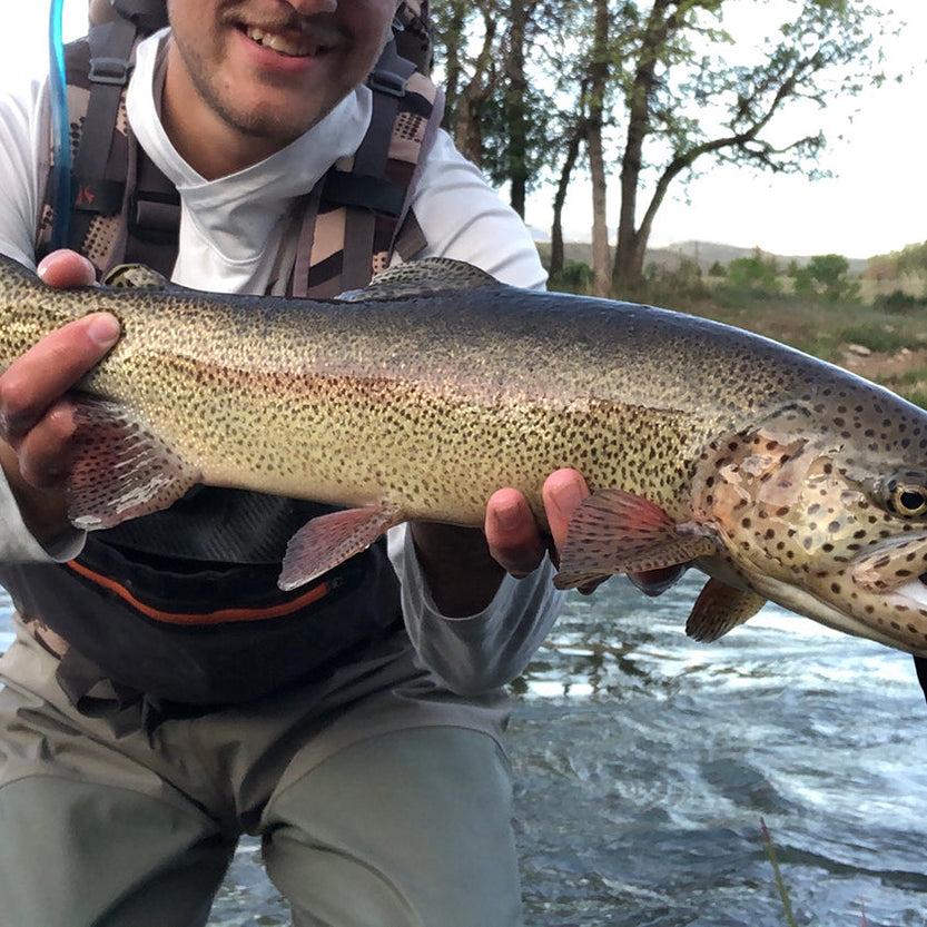Fly Fishing Equipment & Supplies | Golden Fly Shop