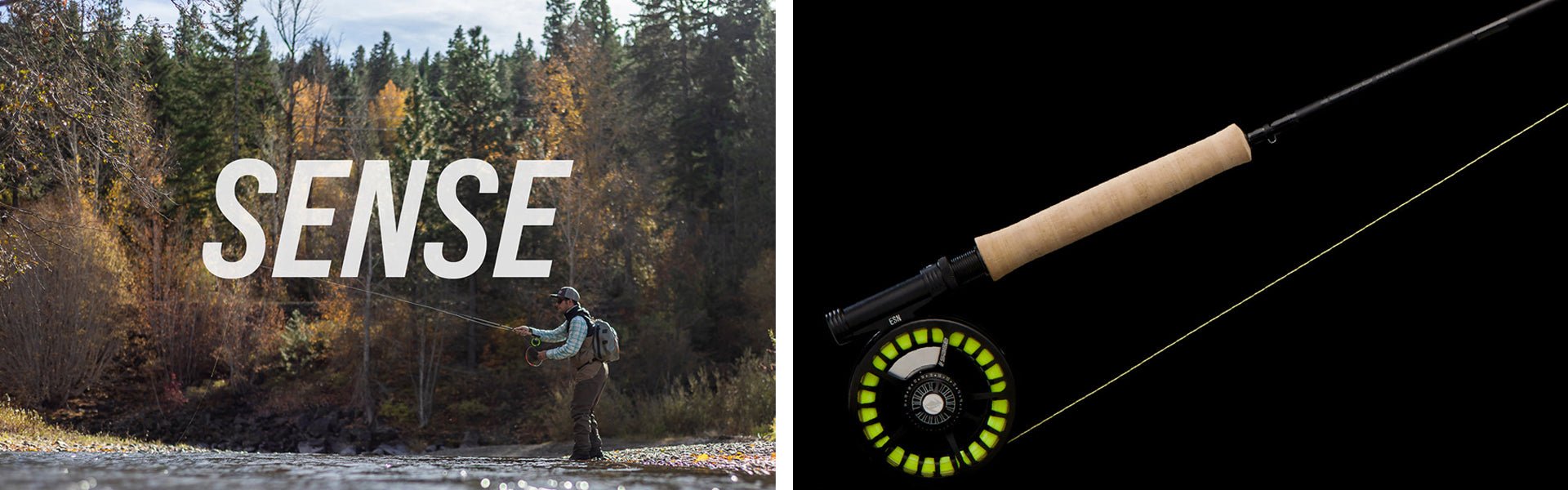 Sense Fly Rods - Sage Rods | Golden Fly Shop