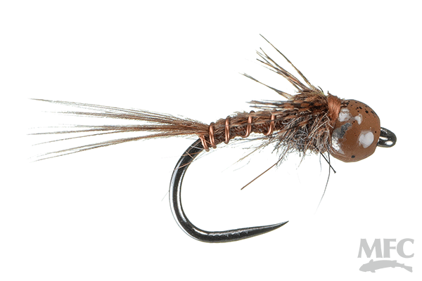 American Nymph — Golden Fly Shop