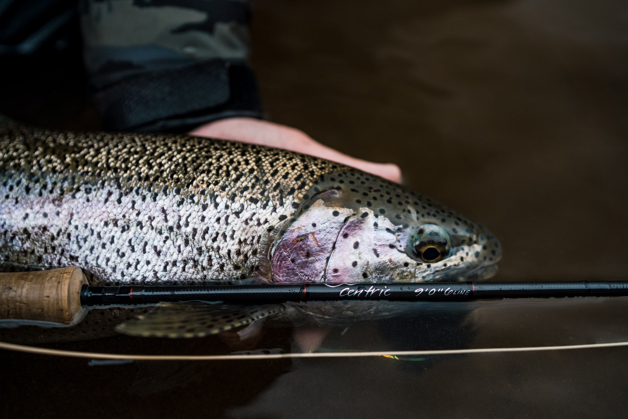 Scott Centric Fly Fishing Rod — Golden Fly Shop