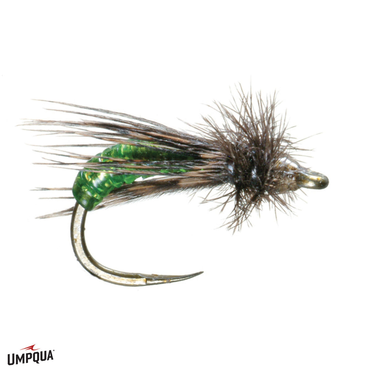 Graphic Caddis — Golden Fly Shop