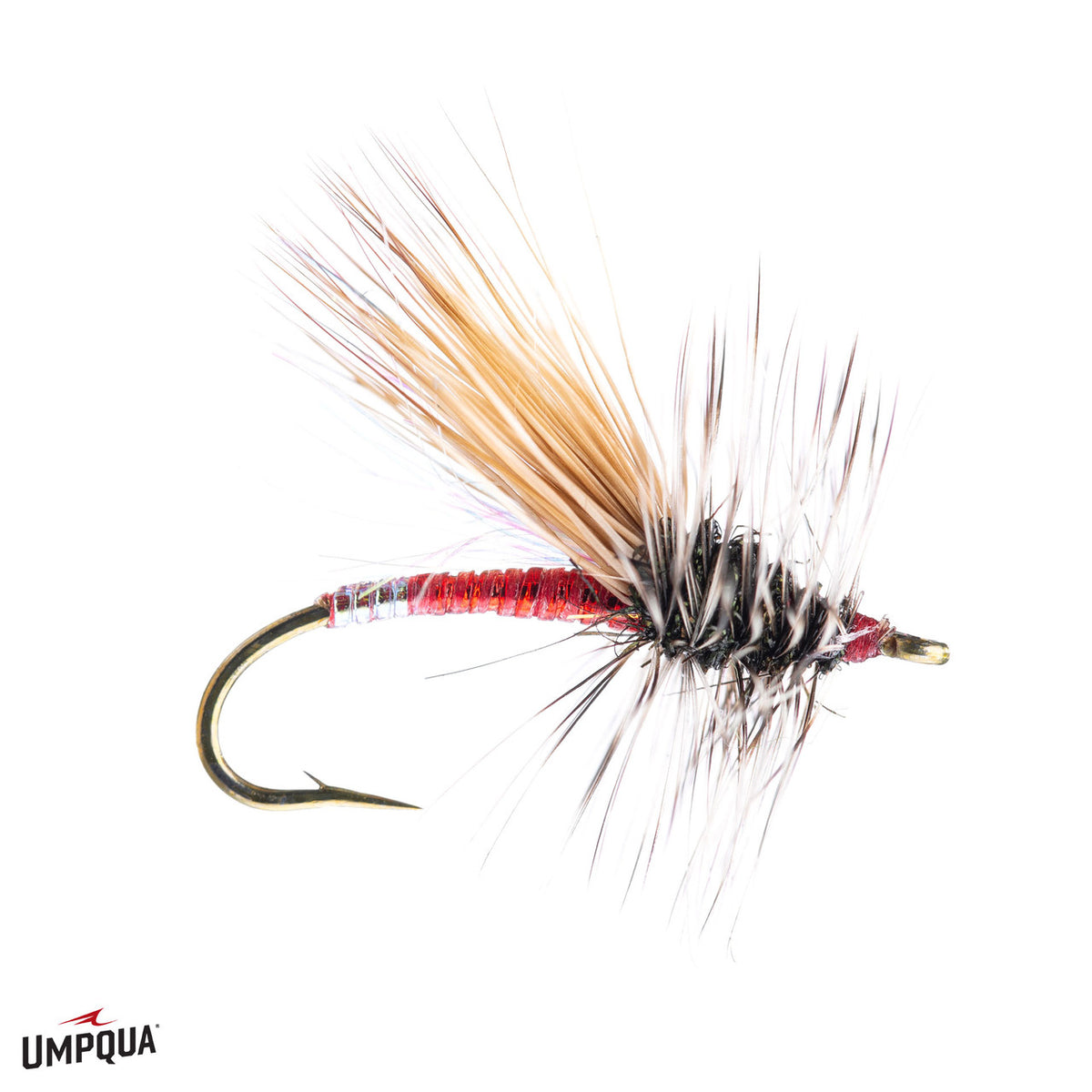 Mini Hot — Golden Fly Shop