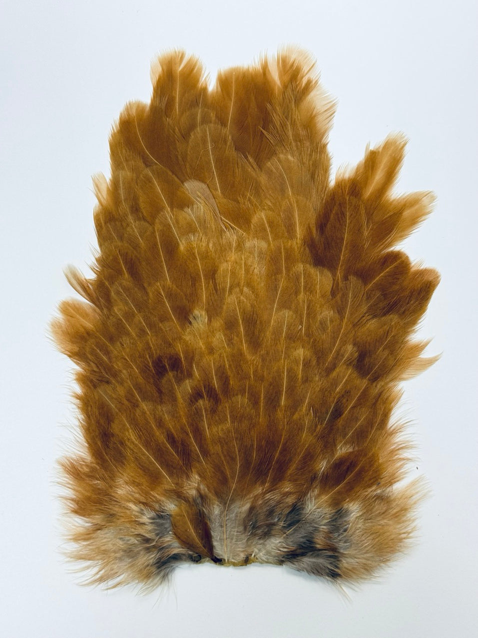 Wapsi - Soft Hackle Hen Saddle Patch — Golden Fly Shop