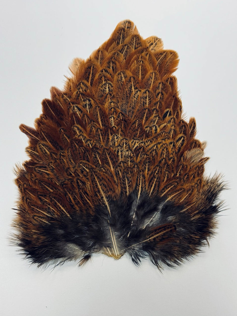 Wapsi - Soft Hackle Hen Saddle Patch — Golden Fly Shop