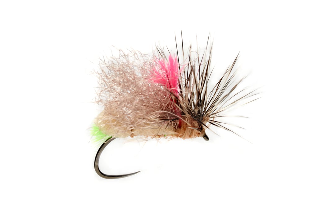Olsen's Foam Front End Loader Caddis — Golden Fly Shop