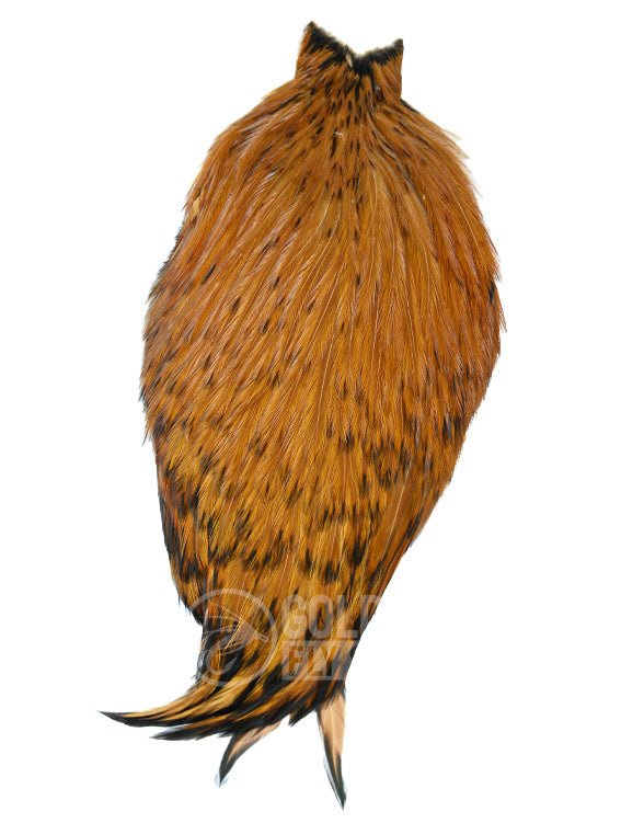 Whiting - American Rooster Cape — Golden Fly Shop